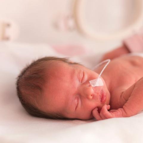 A ventilation mask for premature babies | Vygon